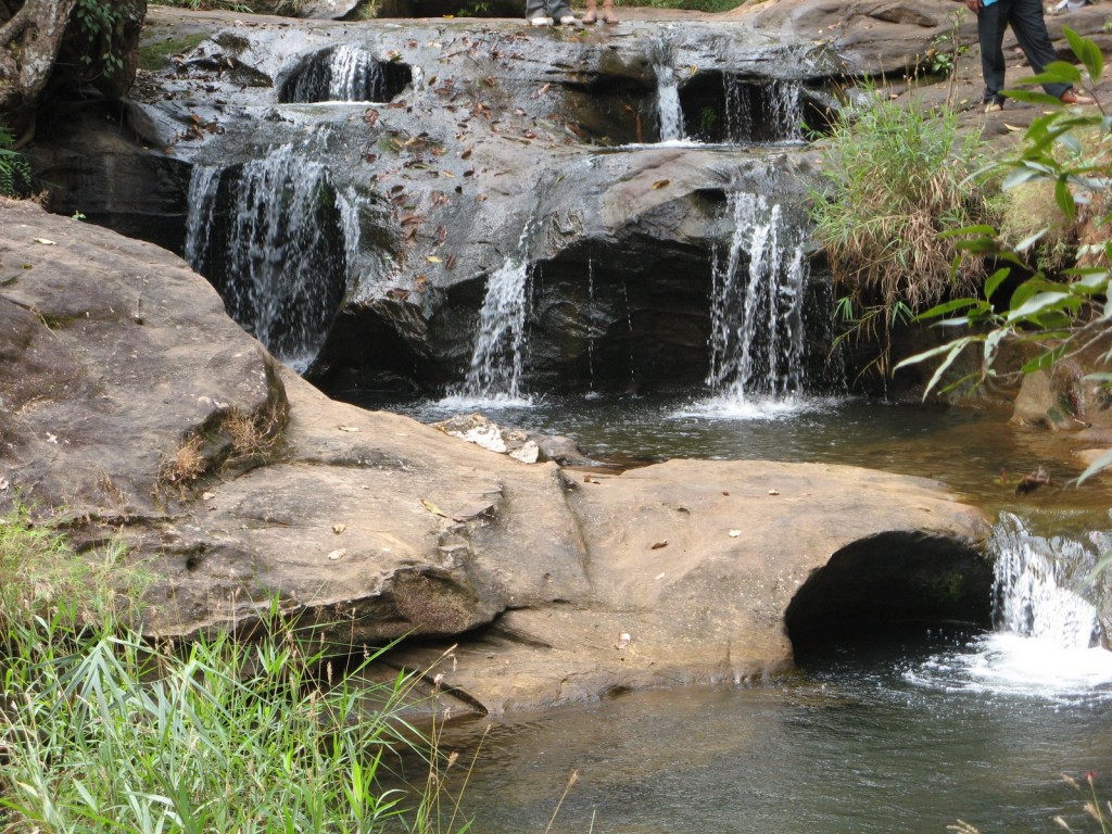 10 environmentally sensitive areas of India! – Topcount