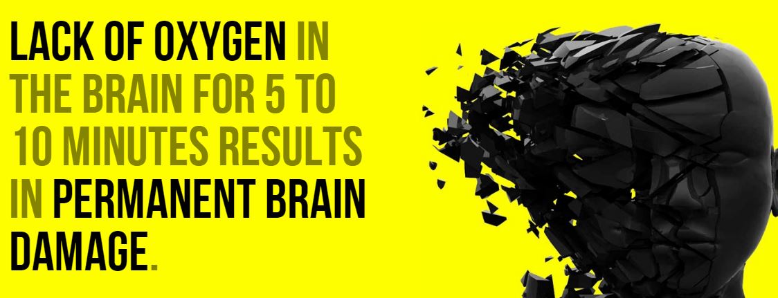 20 Amazing facts about Human Brain – Topcount