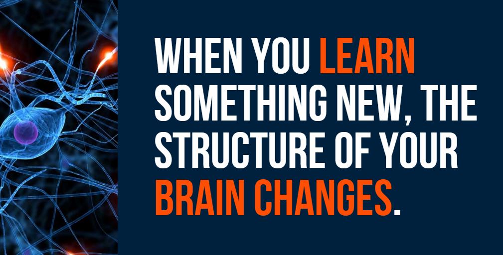 20 Amazing facts about Human Brain – Topcount