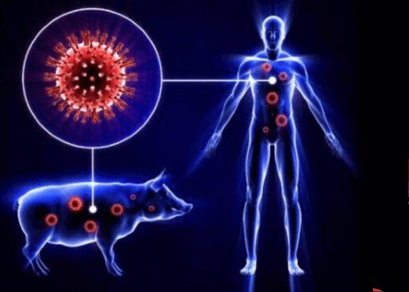 Top 13 most dangerous diseases in the world — Topcount