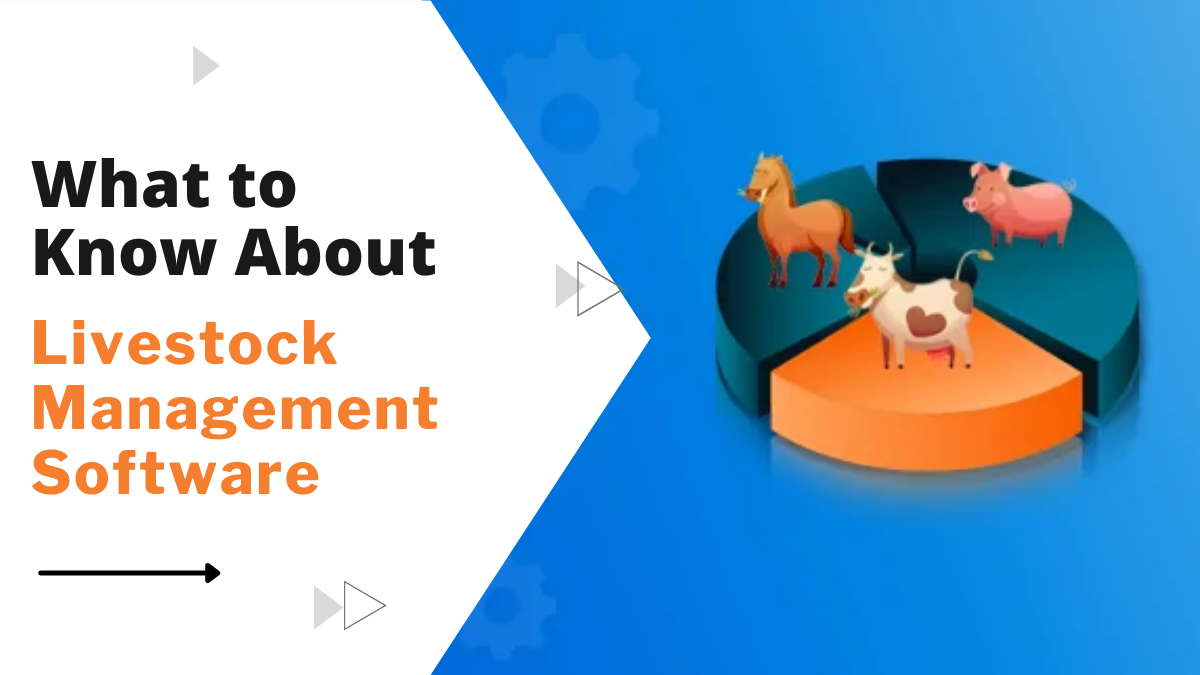 What to Know About Livestock Management Software – Topcount